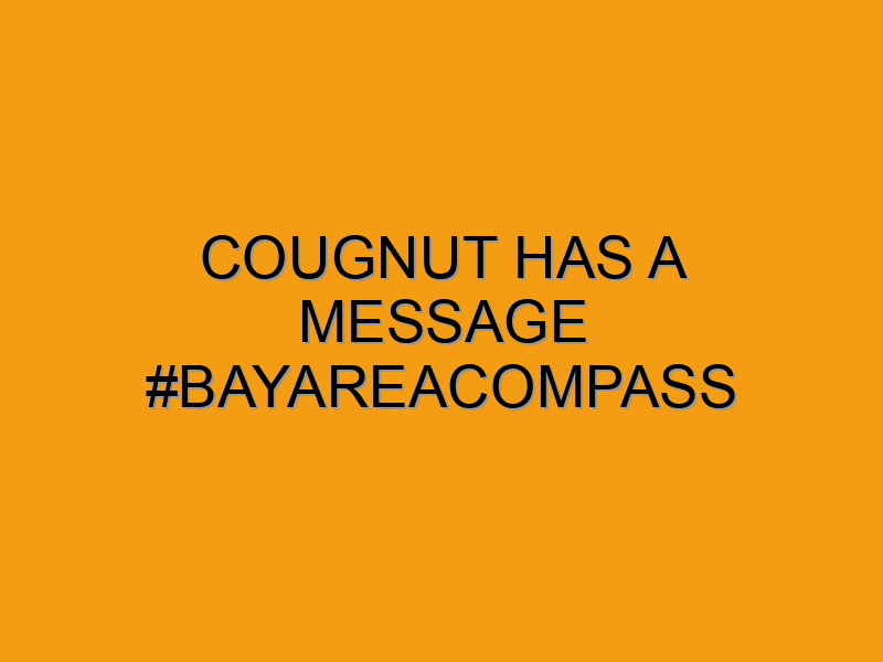 Cougnut Has a Message #bayareacompass - Folded Waffle
