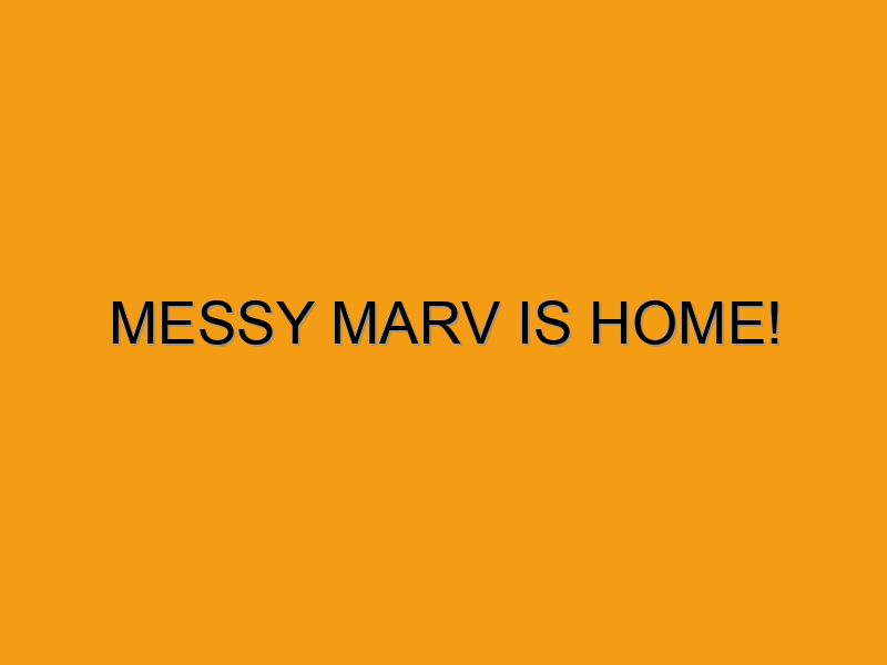 Messy Marv Is Home! - Folded Waffle