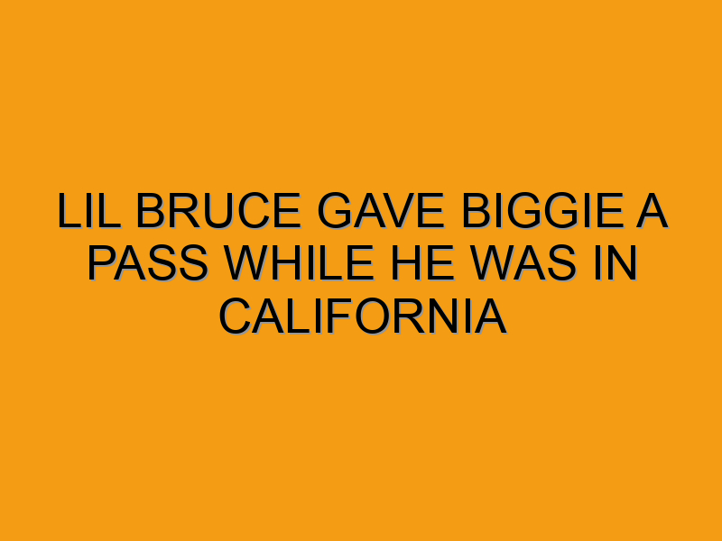Lil Bruce Gave Biggie a Pass While he Was In California - Folded Waffle