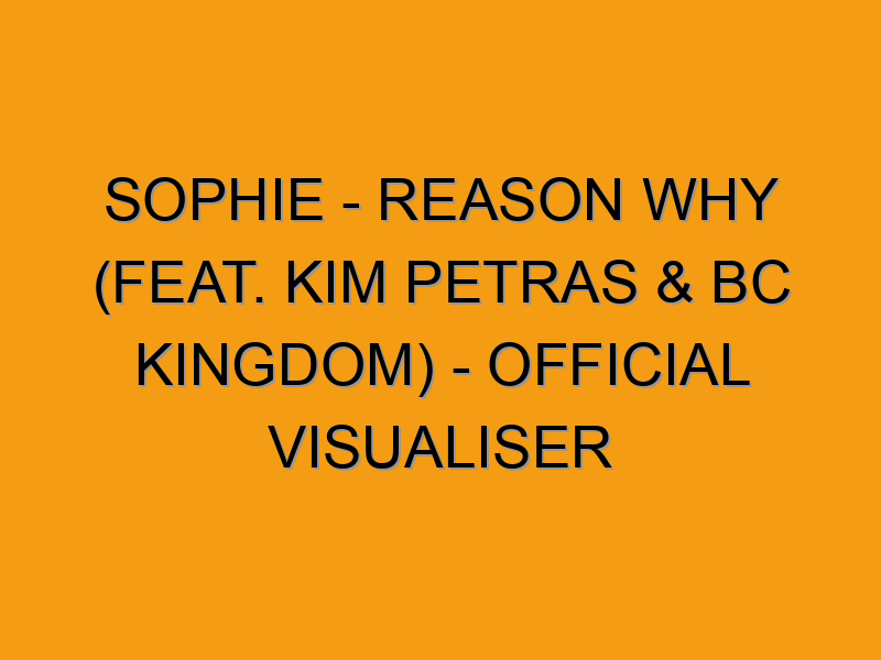 SOPHIE - Reason Why (feat. Kim Petras & BC Kingdom) - Official Visualiser - Folded Waffle