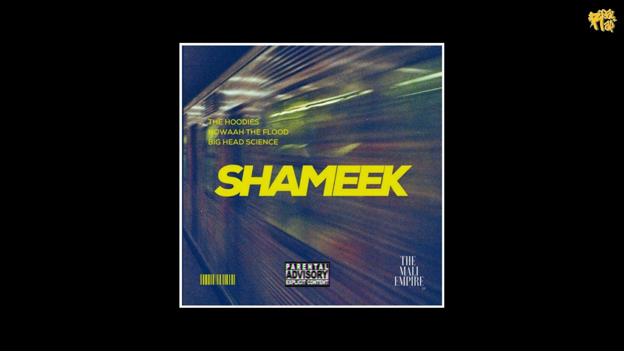 The Hoodies x Nowaah The Flood x Big Head Science - Shameek - Folded Waffle