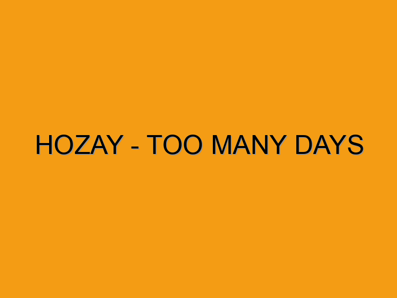 Hozay - too many days - Folded Waffle