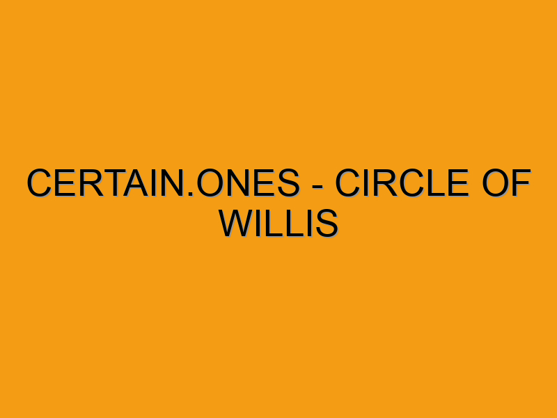 Certain.Ones - Circle Of Willis - Folded Waffle