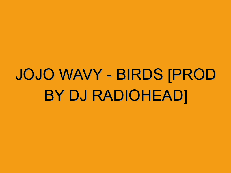 Jojo Wavy - Birds [prod by DJ Radiohead] - Folded Waffle