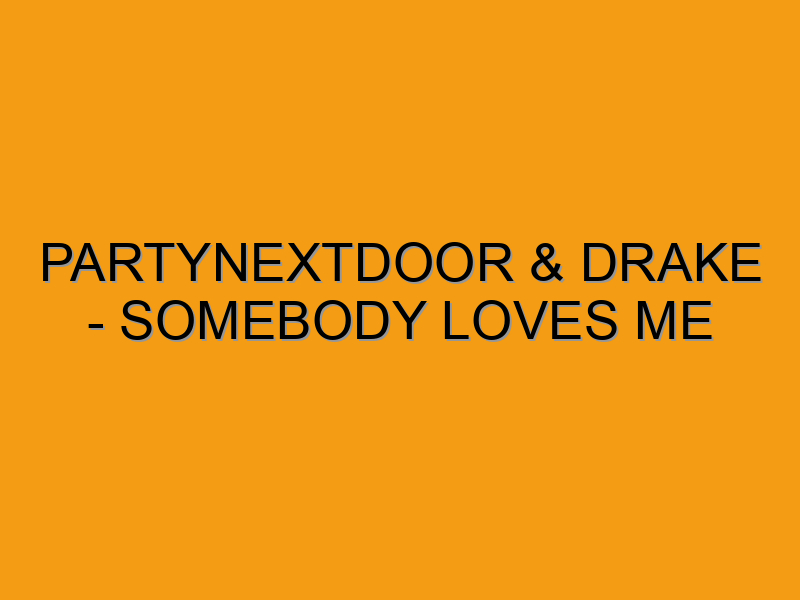 Partynextdoor Drake Somebody Loves Me Folded Waffle