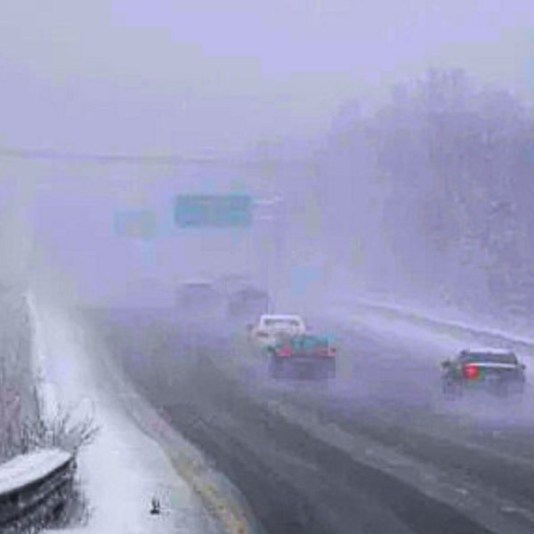 "the pike" - MYKA - Folded Waffle