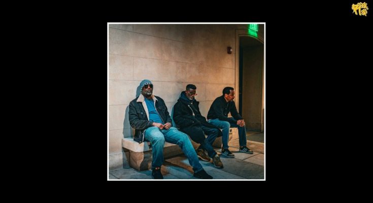 Circle of Native Vibes - Art and Science - Folded Waffle