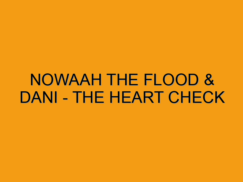 Nowaah The Flood & Dani - The Heart Check - Folded Waffle