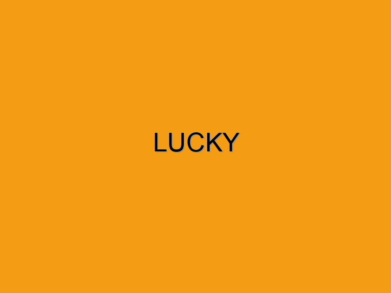 Lucky - Folded Waffle