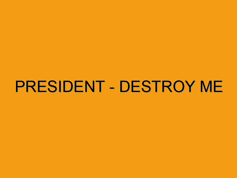 PRESIDENT - Destroy Me - Folded Waffle