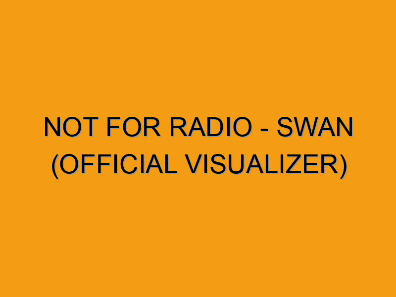 Not for Radio - Swan (Official Visualizer) - Folded Waffle