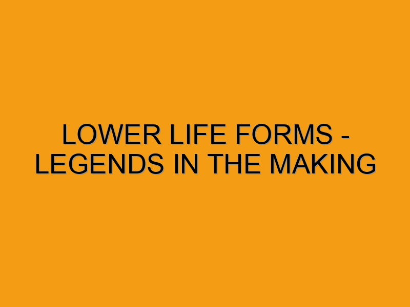Lower Life Forms - Legends in the Making - Folded Waffle